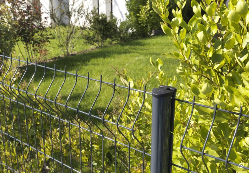 AXIS M – DIRICKX KERÍTÉS KFT.